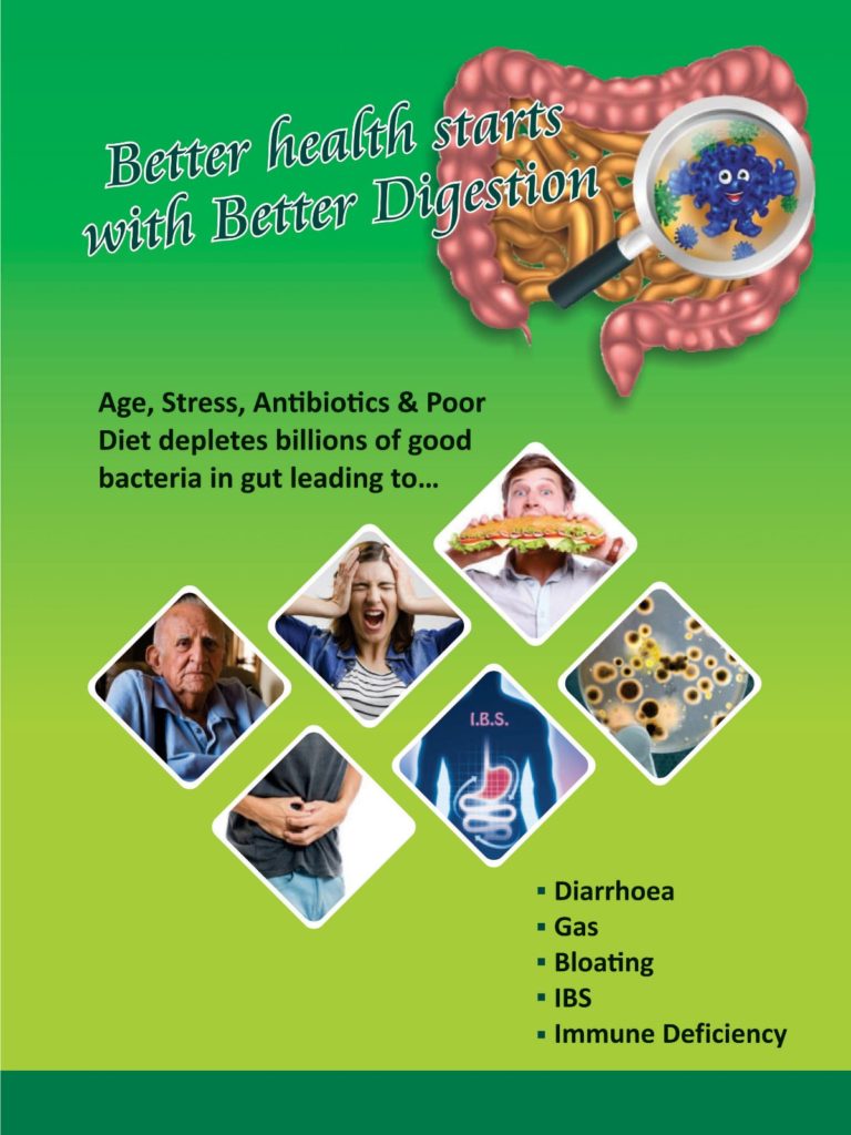 Probios B (Prebiotic and Probiotic Capsule) – Giant Wave Pharma