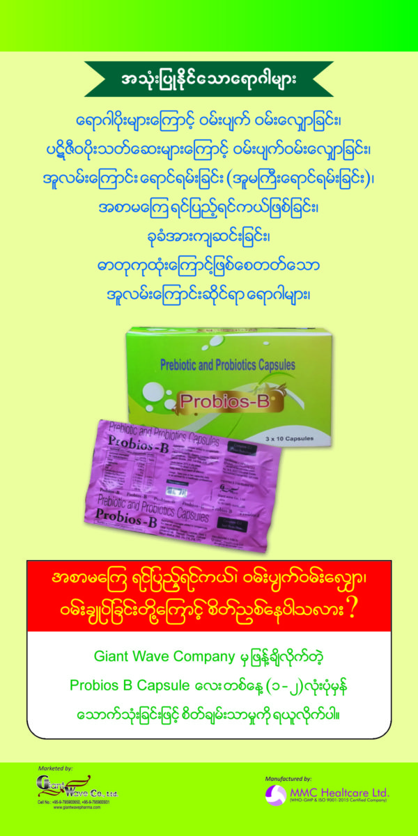 Probios B (Prebiotic and Probiotic Capsule) – Giant Wave Pharma