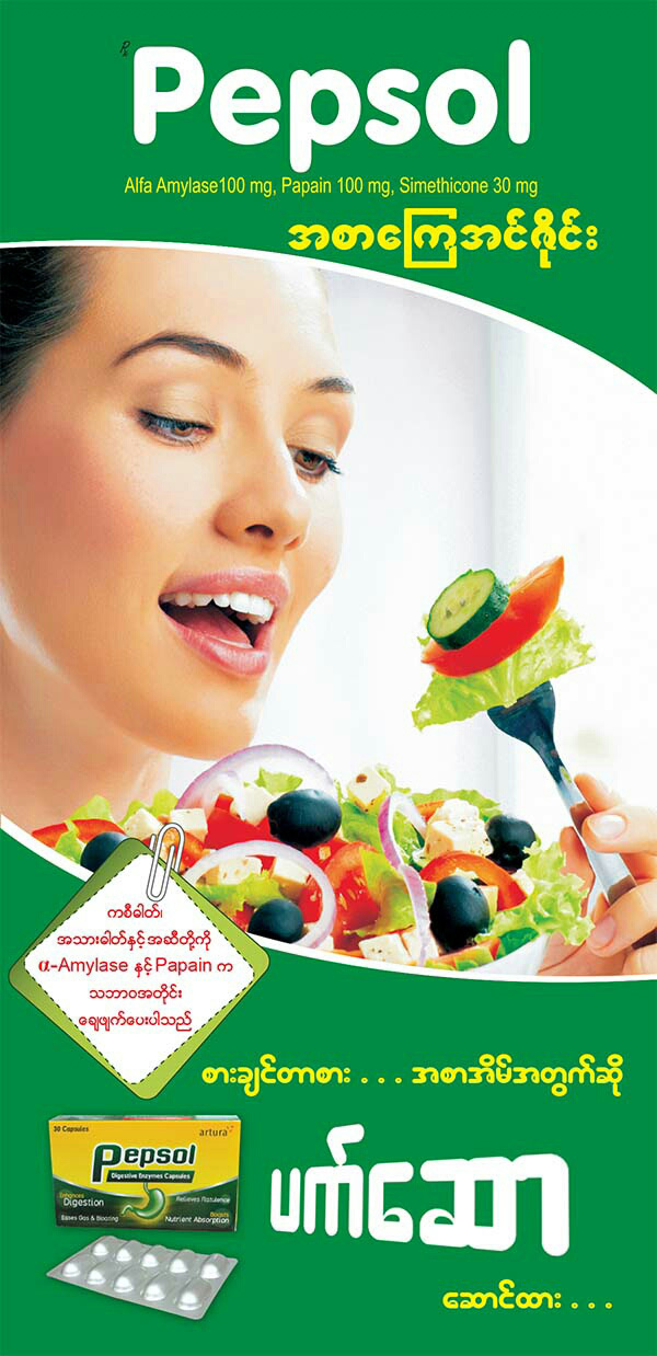 Pepsol (Digestive Enzymes Capsule) – Giant Wave Pharma