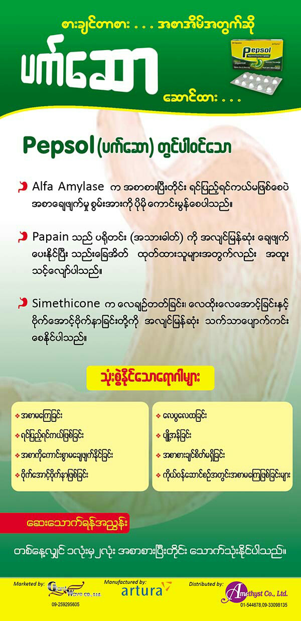 Pepsol (Digestive Enzymes Capsule) – Giant Wave Pharma